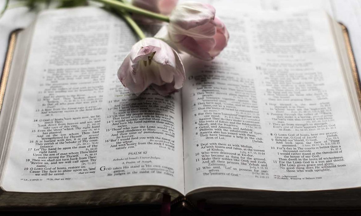 Sealing Services – Twelve Apostles' Church in Christ – TACC Zimbabwe ...